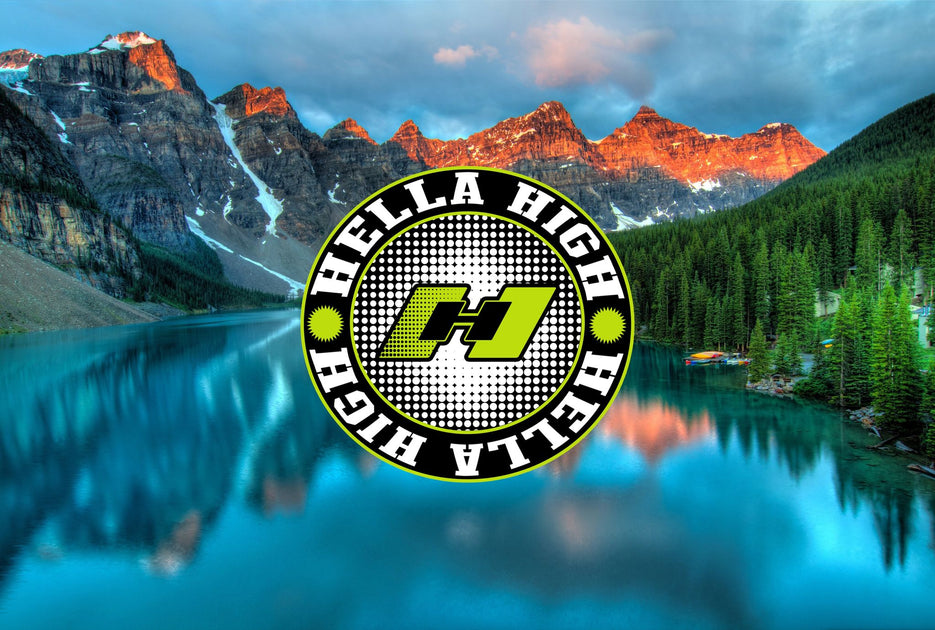 HELLA HIGH – Bay Merch